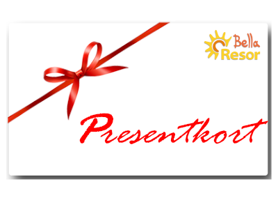 Betalningsinformation